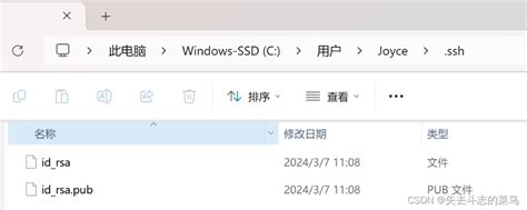 Win11环境下git配置ssh Key拉取gitee仓库代码win11 Ssh Key Csdn博客