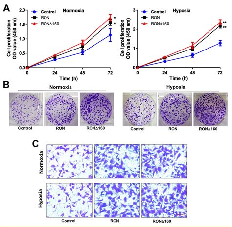 Ron And RonΔ160 Promote Gastric Cancer Cell Proliferation Migration