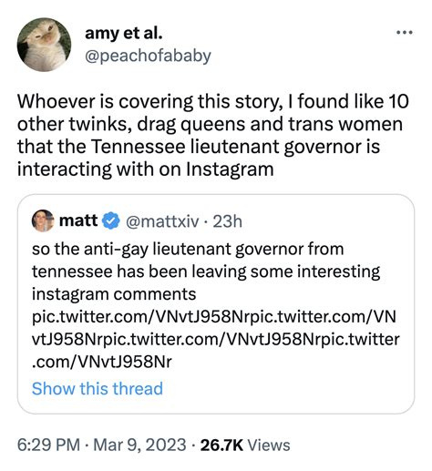 Tennessee Lt Governor Liking Gay Twink Instagram Content Meme