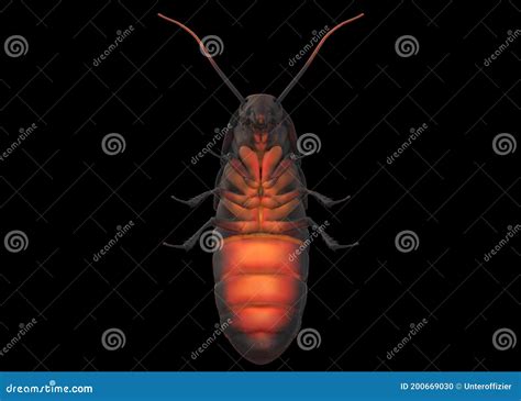 Robot Cockroach Cartoon Character 59623679