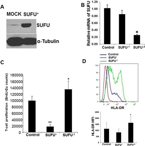 Overexpression Of Sufu Reduced But Silencing Increased Allogeneic
