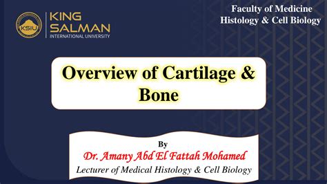 SOLUTION Histology Lecture 11 Overview Of Cartilage Bone Studypool