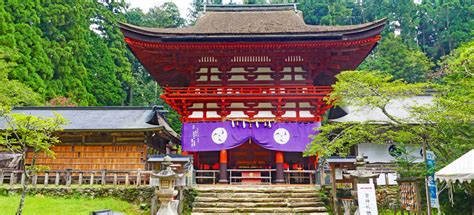 神社人 丹生都比売神社