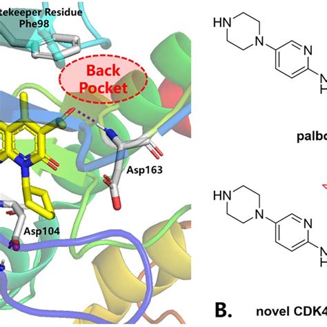 The Structures Of Palbociclib And Its Representative Analogs The