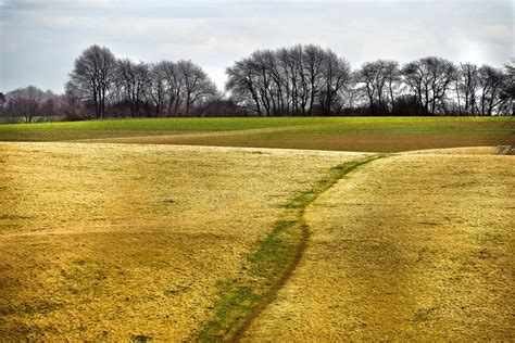 Free Images Landscape Nature Forest Outdoor Horizon Open