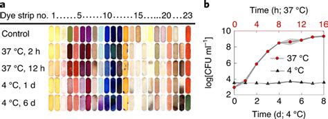 Pca Response To Bacterial Vocs A Pca Patterns Generated At 4 °c And