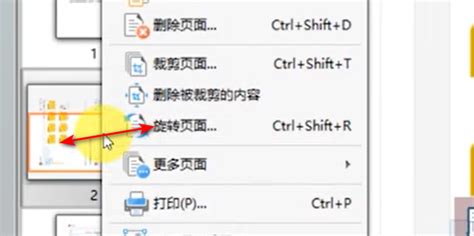 Pdf