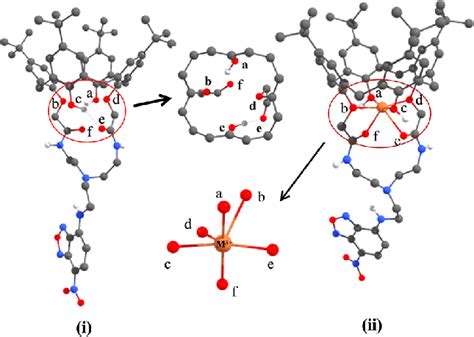 Dft Optimized Structures For I L And Ii {l M 3 } Complex The