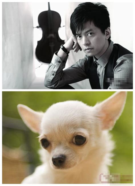 周冬雨鸭子微笑周冬雨的凝视鸭子原图周冬雨鸭子对比大山谷图库