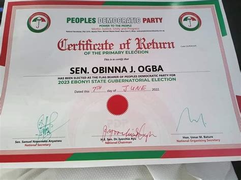Sen Obinna Ogba Pdp Flag Bearer For 2023 Governorship Election