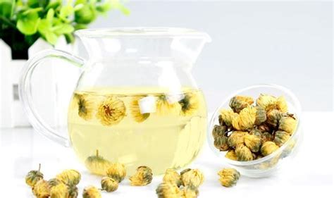 菊花茶有較多的功效和作用對身體好處多喝菊花茶有什麼禁忌 每日頭條