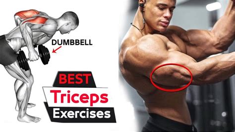 6 Best Tricep Exercises For Bigger Arms With Dumbbell Bodyweight