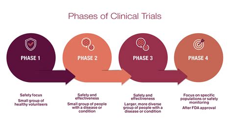 Phase 3 Clinical Trial Calendar Cass Danielle