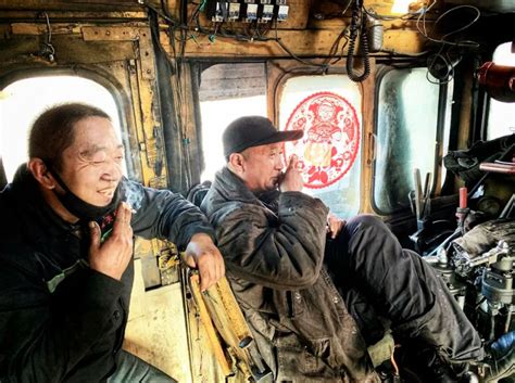 Монголын талд цасан дээр хэвтэж буй мануулын зураг шилдэг гэрэл зургаар