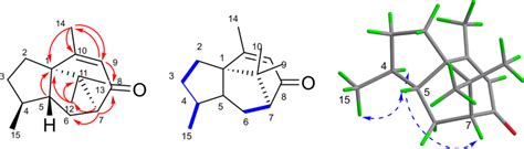 Key Heteronuclear Multiple Bond Correlation H→c ¹h ¹h Correlation Download Scientific