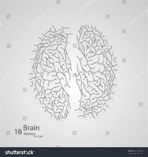 Creative Concept Human Brain Vector Elegant Stock Vector Royalty Free Shutterstock