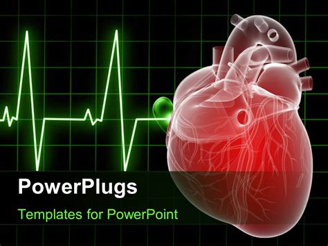 Human Heart Powerpoint Template Free Download Printable Templates