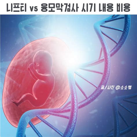 임신 기형아검사 니프티검사 융모막검사 비용 시기 방법 차이점 네이버 블로그
