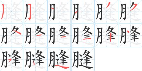 《膖》的笔顺、笔画， 膖字笔顺怎么写