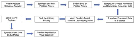 Bioinformatics And Laboratory Workflow Diagram A Graphical Depiction Download Scientific