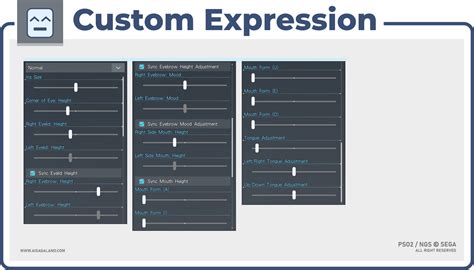 PSO NGS Character Creation Custom Aisaga Land