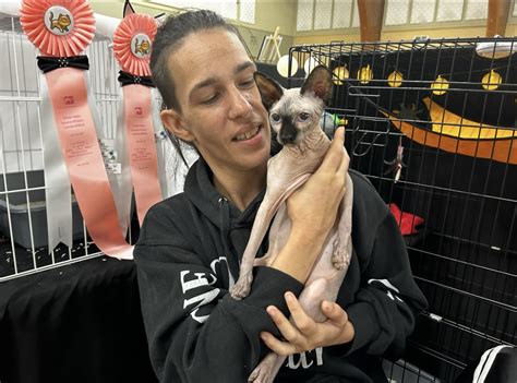 Have You Seen These Cat Breeds Cat Lovers Get A Show Cbc News