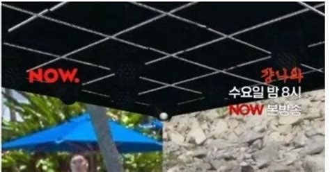 근육돼지라는 강호동 몸매 위엄