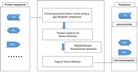 Generalized Dipeptide