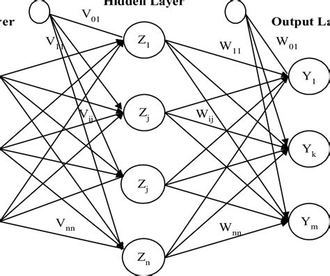 Neural Network For The Back Propagation Algorithm Download Scientific