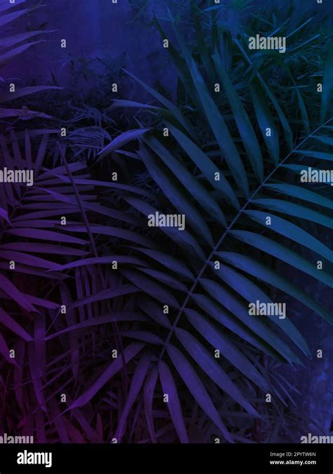 Techno Colors Floral Tropical Party Background Dark Blue Purple Exotic