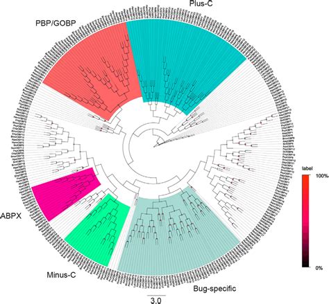 Phylogenetic Tree Of Odorant Binding Proteins Obps The Amino Acid