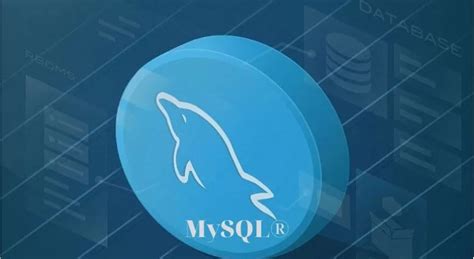 Các Kiểu Dữ Liệu Trong Mysql Thông Tin Phân Tích Chi Tiết