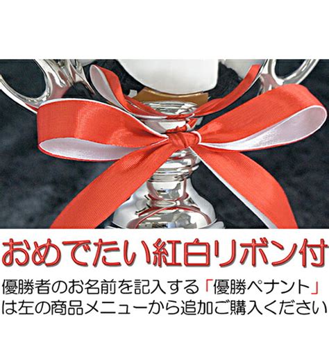 【楽天市場】優勝カップ 30％引 高さ260mm 送料無料 文字無料 優勝カップ 金属 銀色 優勝カップ ゴルフ 野球 サッカー テニス