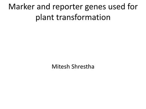 Pdf Marker And Reporter Genes Used For Plant Transformation · Marker
