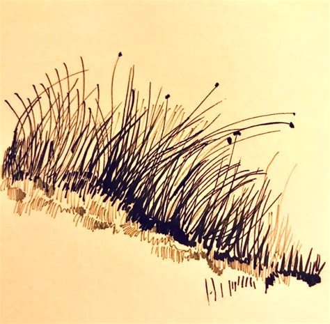 Drawing Grass With Pen And Ink Improve Drawing