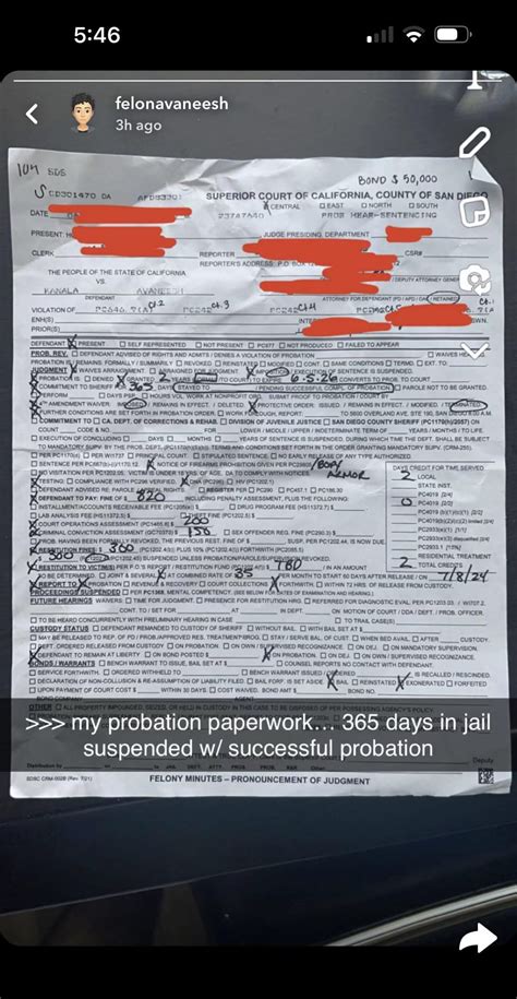 Probation Paperwork Rgoatavaneesh