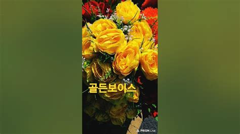 트롯트는힐링입니다 국보급뮤지션 황영웅 👍💖💚🇰🇷🕊 Youtube