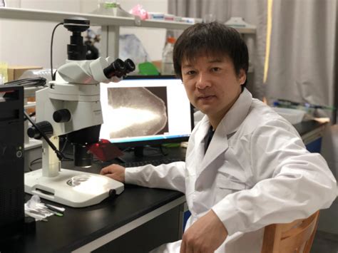 广东专家找到蝾螈再生的“开关”！有望助力人脑再生 房产资讯 房天下