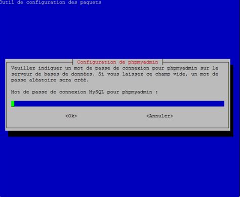 Installer Apache Php Mysql Et Phpmyadmin Sur Son Vps Gabinhocity