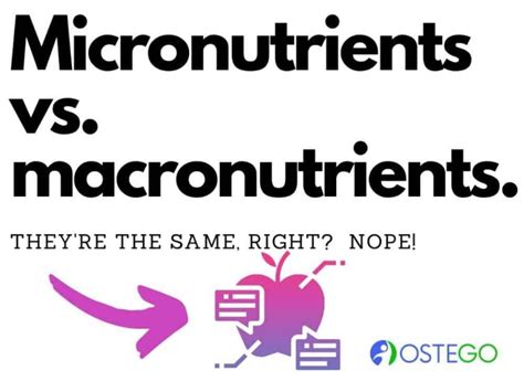 Macronutrients And Micronutrients Explained Ostego