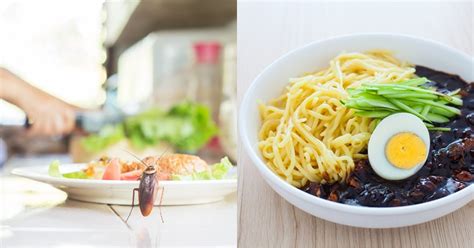 배달 음식 주문하기 전 불량 음식점 거르는 방법 위키트리