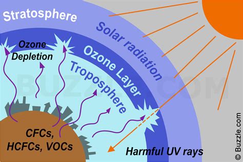 Causes And Effects Of Ozone Depletion Ozone Hole ~ Biology Exams 4 U