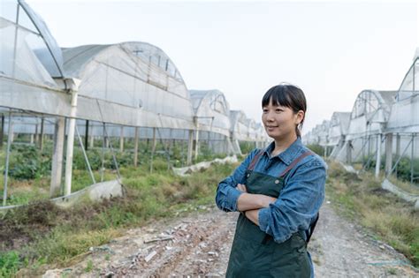아시아의 한 농업 노동자가 굳건한 눈과 손으로 보육원 옆에 서 있습니다 결심에 대한 스톡 사진 및 기타 이미지 결심 꽃 식물 농부 Istock