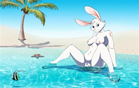 Rule 34 Absurd Res Asterozoan Beach Breasts Clothing Disnomia Echinoderm Female Female Focus