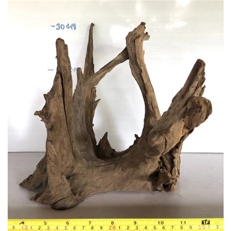 ไม้แต่งตู้ปลาขนาดเล็ก ตอไม้ ขอนไม้ รากไม้ Driftwood Diy Thai