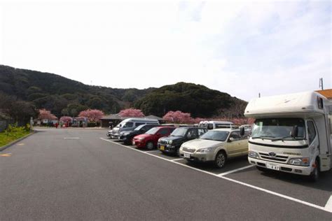 Withnews