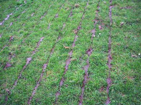 Even Distribution Of Slurry Conor Engineering