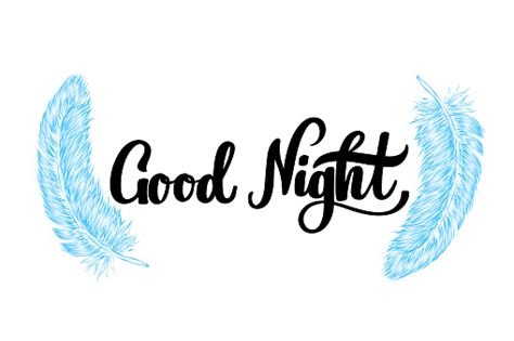 벡터 손을 그려 좋은 밤 및 라인 아트 스타일 깃털 포스터 배너 로고 아이콘에 대 한 문자 투명 한 배경에 솜 털 깃털 패턴에 대 한 간단한 스케치 그림입니다 우아한 글꼴