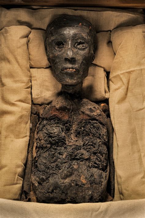 Tutankhamun Mummy Museum