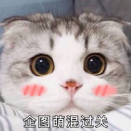 试图萌混过关 企图萌混过关 试图 大山谷图库